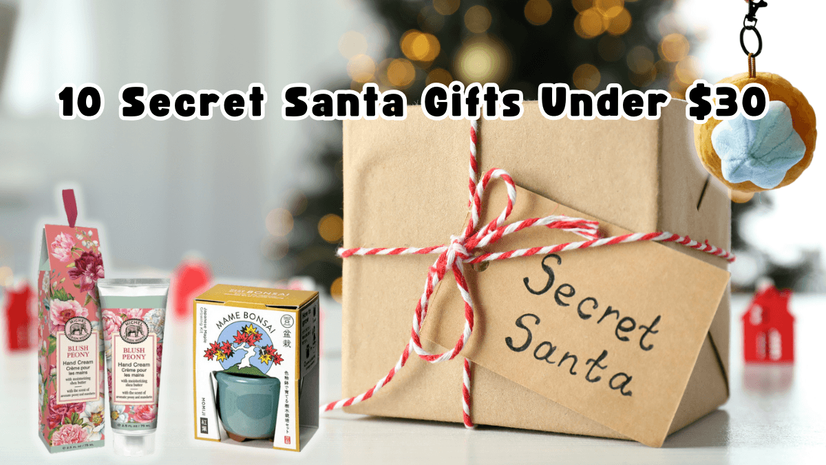 10 Secret Santa Gifts Under $30 | Spectrum Store: Family Lifestyle Store