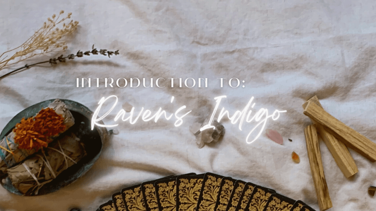 Introduction to: Raven's Indigo | Spectrum Store: Family Lifestyle Store