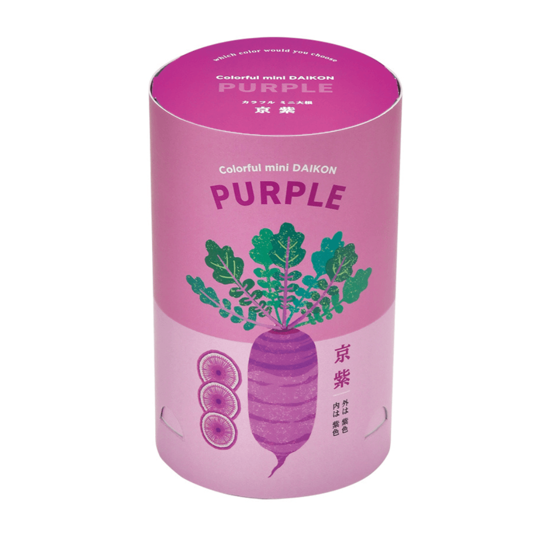 Colourful Mini Radish - Purple For Kids