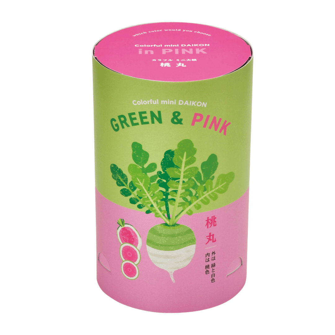 Colourful Mini Radish - Green & Pink For Kids