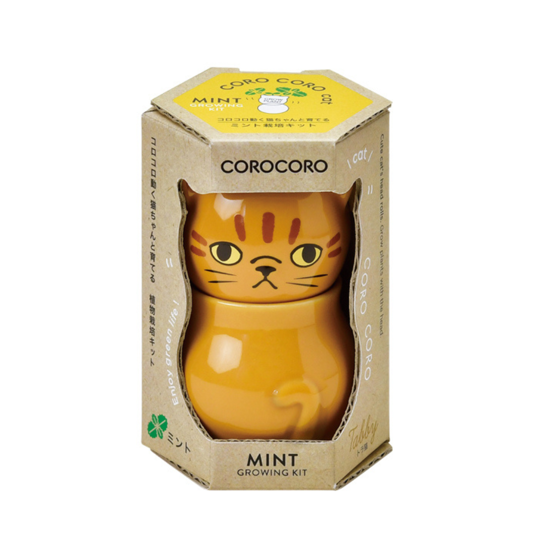 Corocoro Cat Growing Kit - Mint | Spectrum Store: Family Lifestyle Store