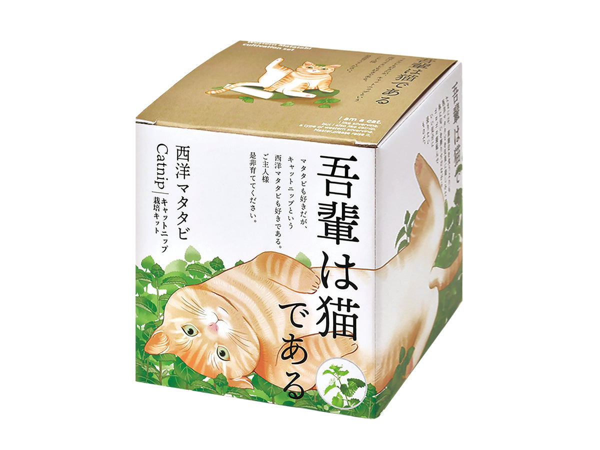 Growing Kit - Catnip | Spectrum Store: Family Lifestyle Store