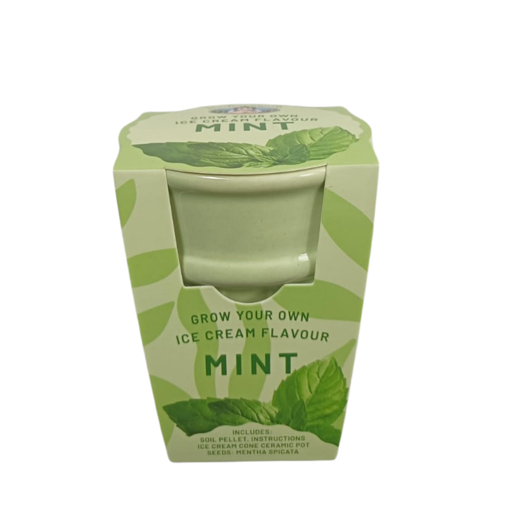 Ice Cream Cone - Mint | Spectrum Store: Family Lifestyle Store