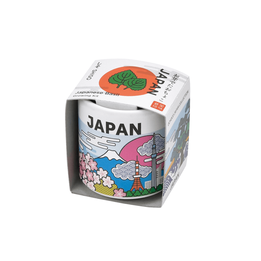 Ochoko Japan - Japan (Shiso) For Kids