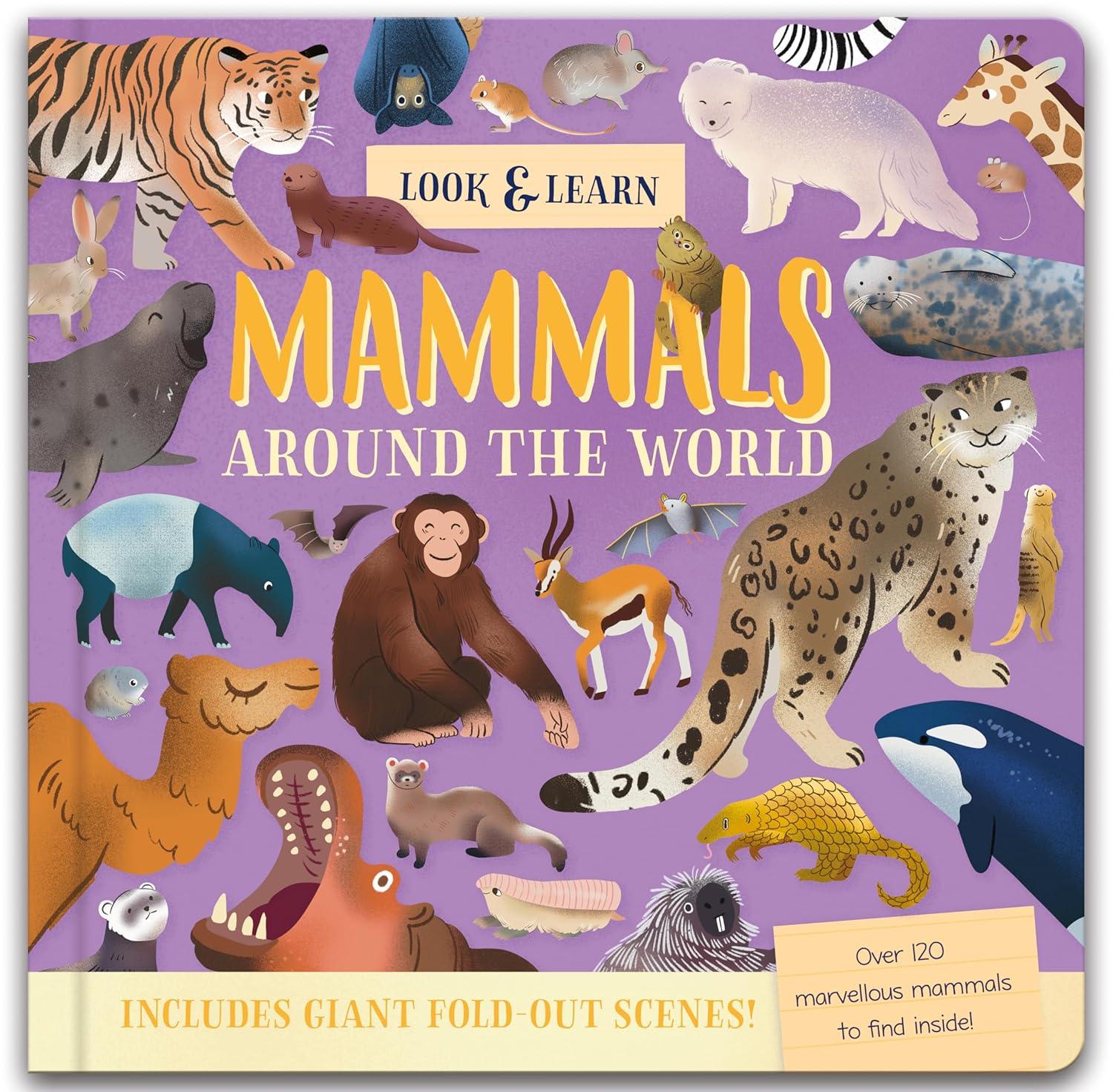 Nature Look and Find Board Book - Mammals For Kids
