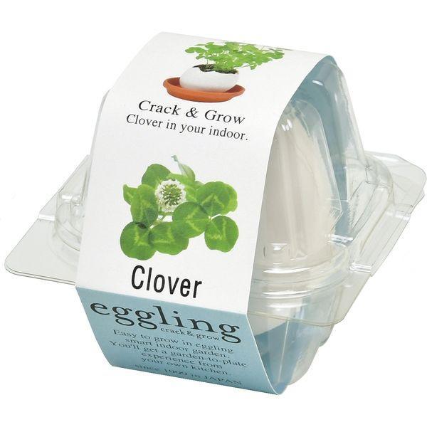 Eggling (Clear Package) - Clover | Spectrum Store: Family Lifestyle Store