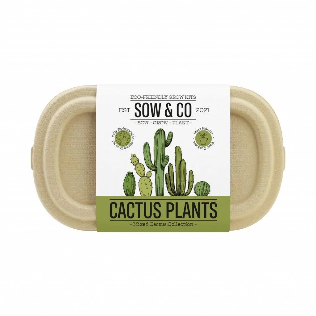 Sow & Co. Plants - Cactus | Spectrum Store: Family Lifestyle Store