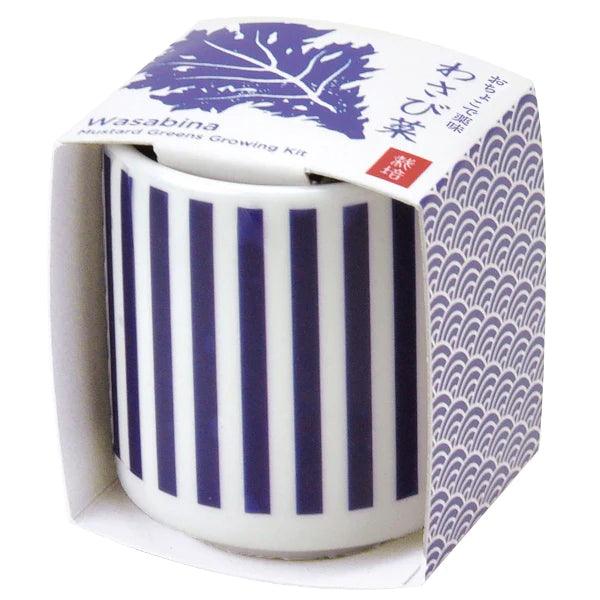 Ochoko Yakumi - Growing Kit - Wasabi-na For Kids