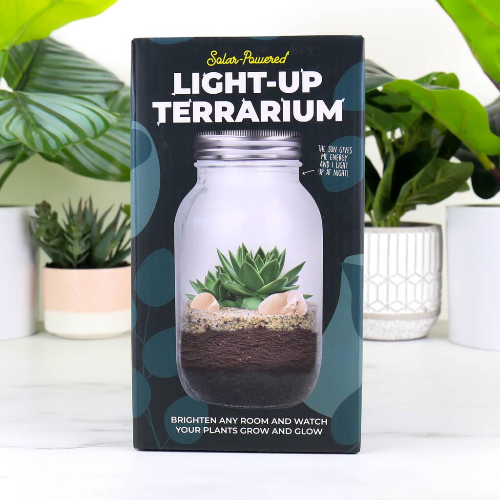 Light-Up Terrarium For Kids