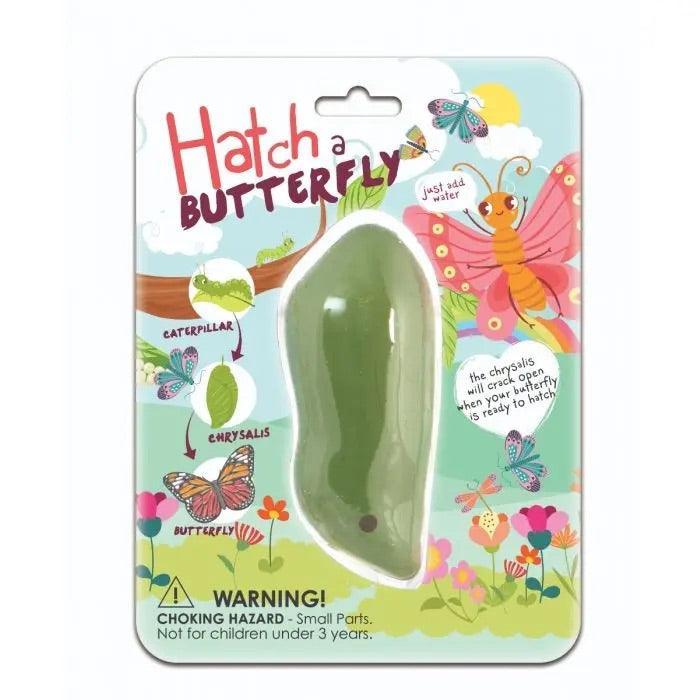 Hatch A Butterfly | Spectrum Store: Family Lifestyle Store