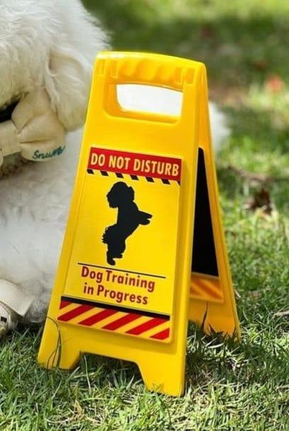 Personalized Desk Warning Sign For Kids