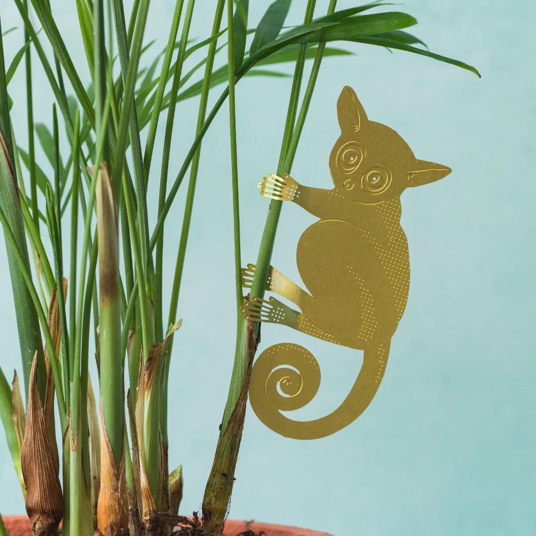 Plant Animals: Bush Baby For Kids