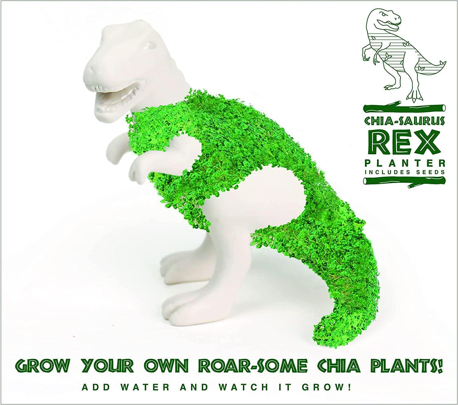 Planter: Chia-saurus-rex - Seeds | Spectrum Store: Family Lifestyle Store