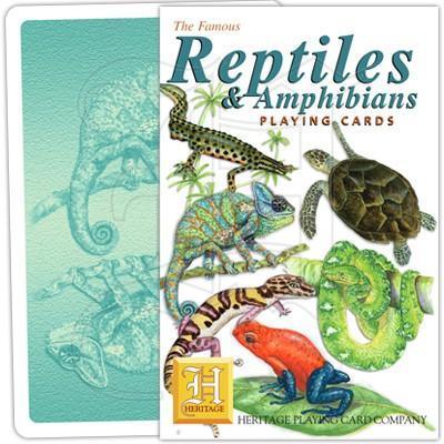 Reptiles & Amphibians For Kids