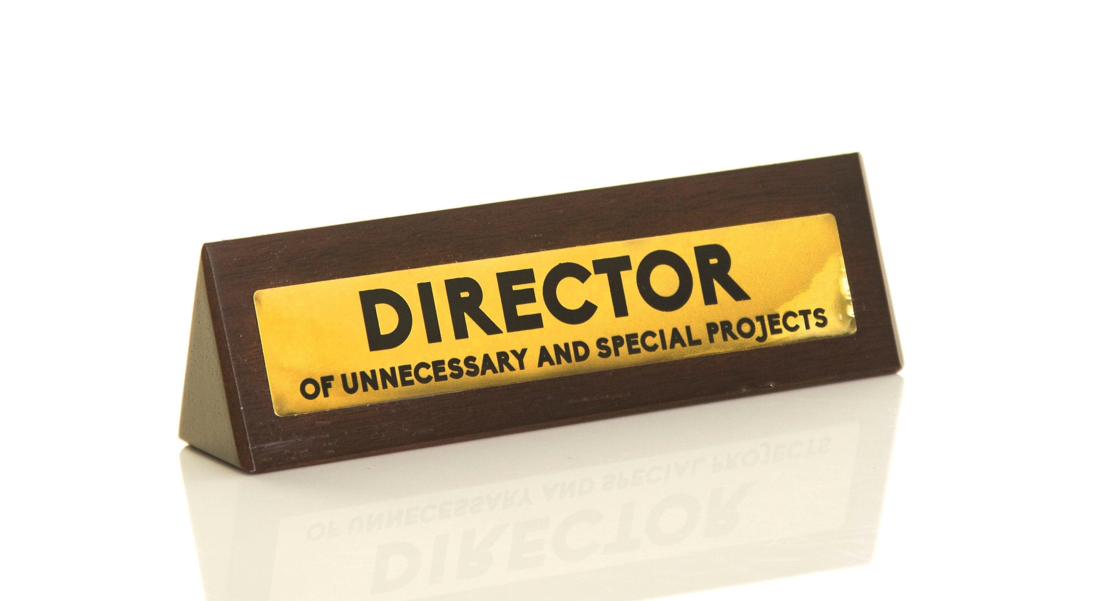 Wooden Desk Sign - Director For Kids